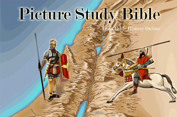 Picture Study Bible with Maps and Background Information - Bible ...